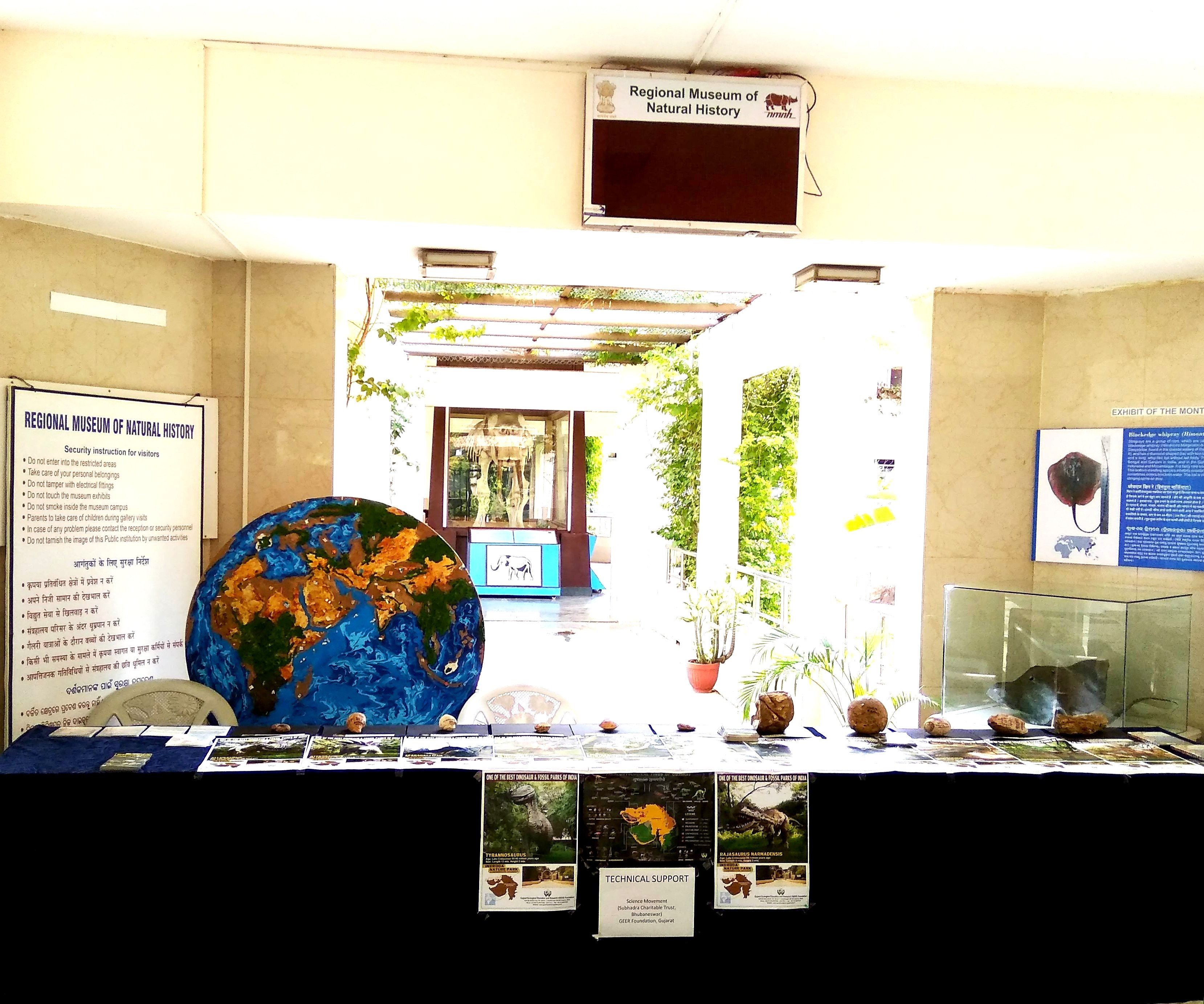 Science Movement | Science Movement